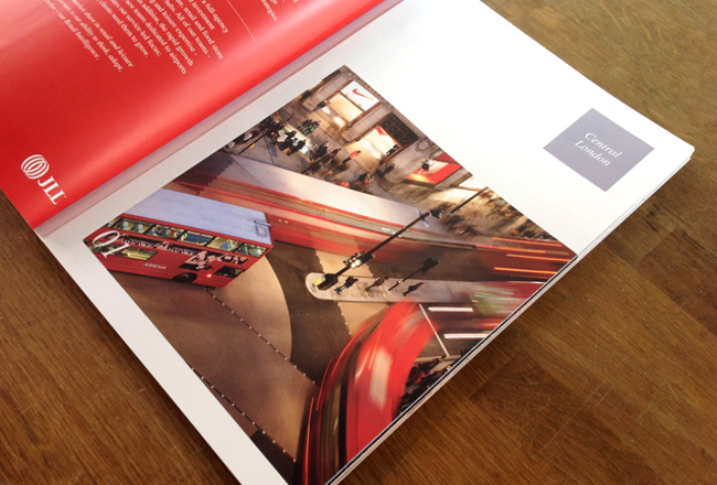 JLL brochure : Crumpled Dog